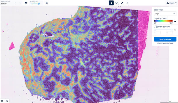 Visium HD 3’ - 10x Genomics